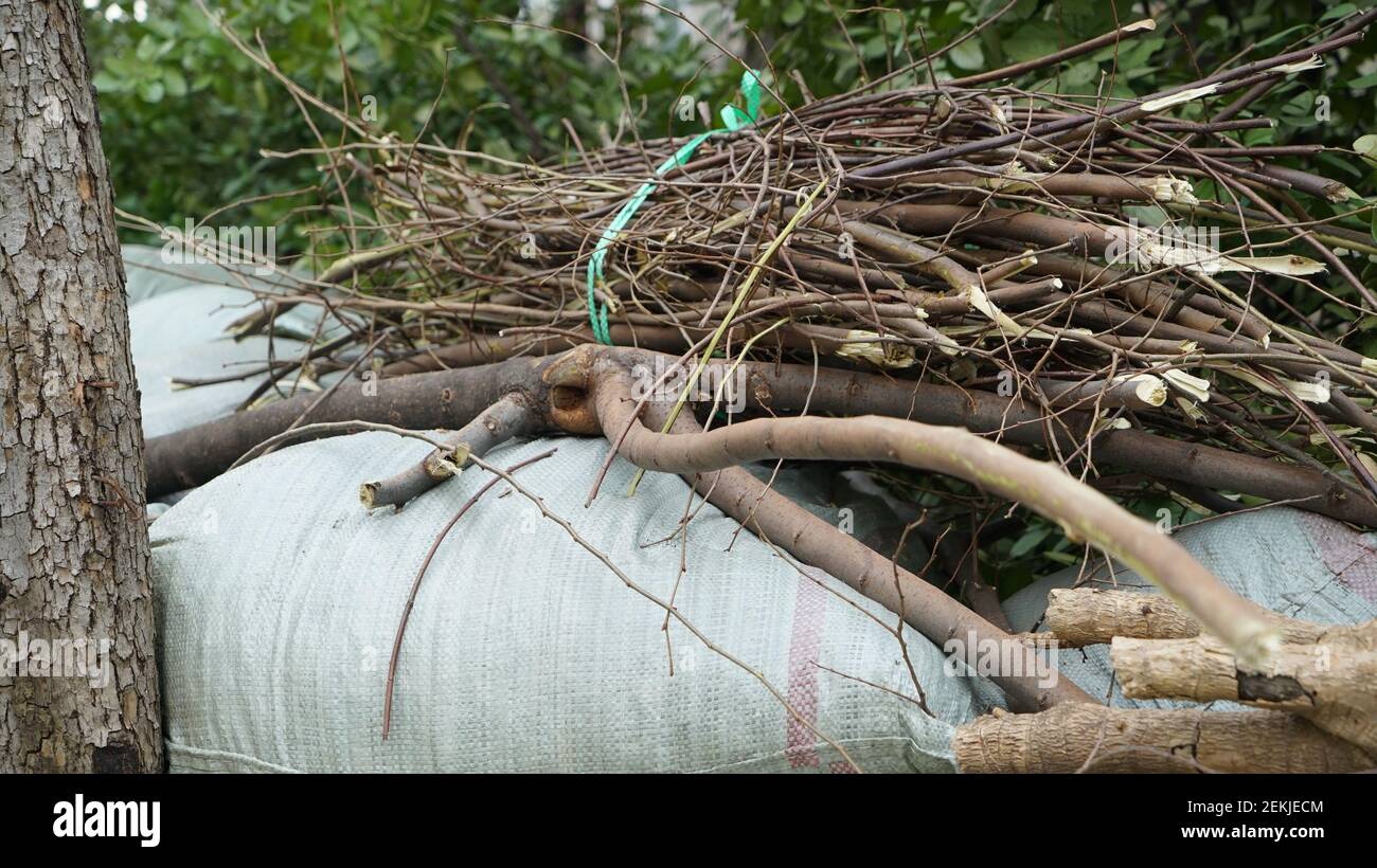 Debris on promenade hi-res stock photography and images - Alamy