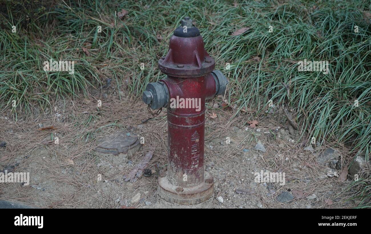 Fire hydrant in plants hi-res stock photography and images - Alamy