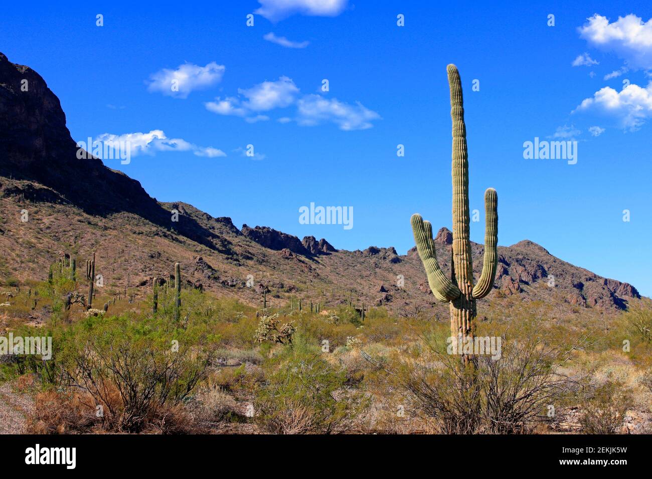 Picacho Peak State Park in the area north of Tucson, AZ Stock Photo - Alamy
