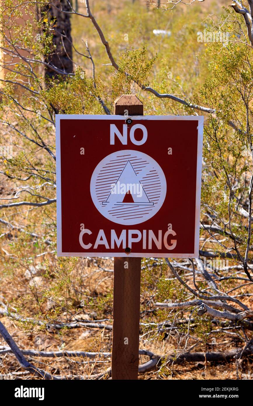 Summer camping vector banner hi-res stock photography and images - Alamy