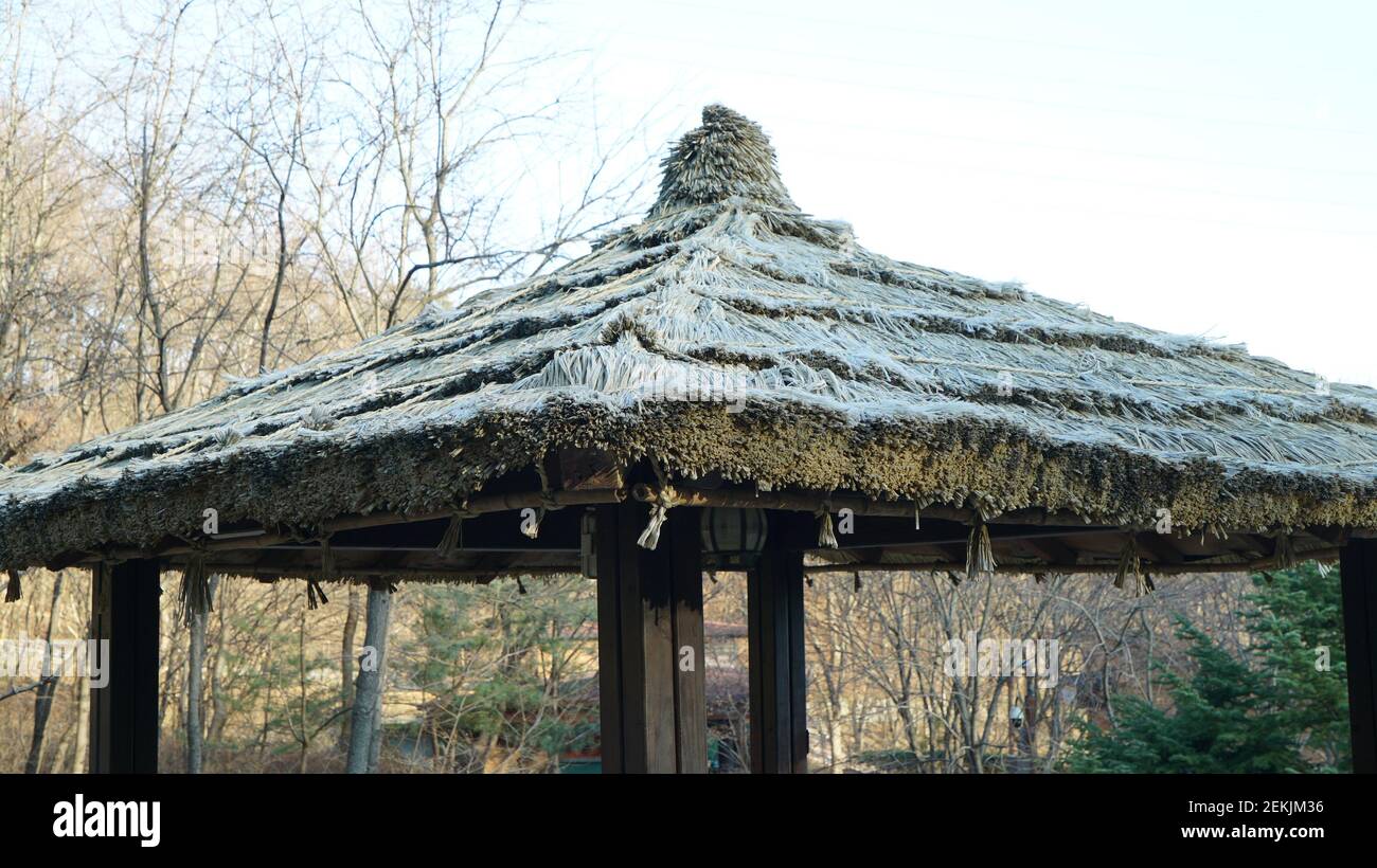 Roof of an Old Asian Style Hut in Winter Stock Photo - Alamy