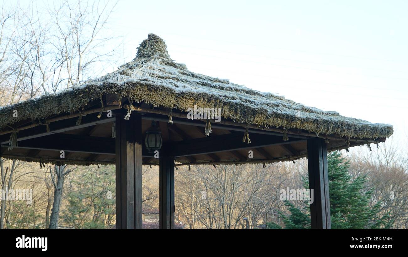 Roof of an Old Asian Style Hut in Winter Stock Photo - Alamy