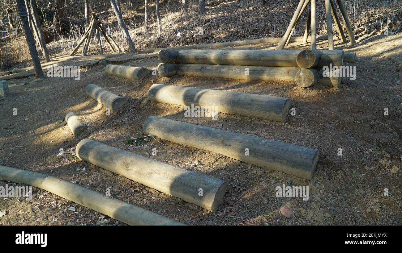 Wood Structure in the Winter Mountain Hiking Trail Stock Photo - Alamy