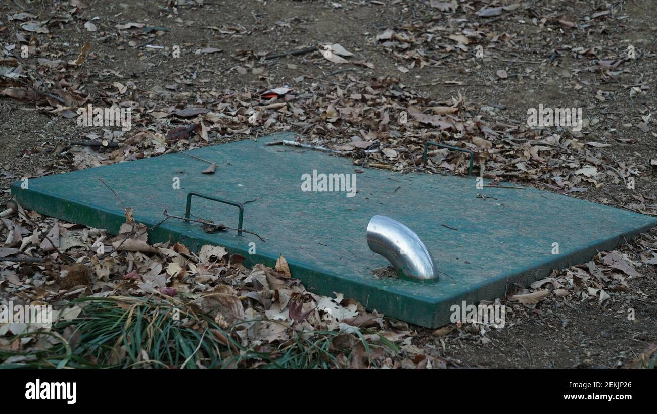 Green Sewer on the Forest Dirt Ground Stock Photo - Alamy