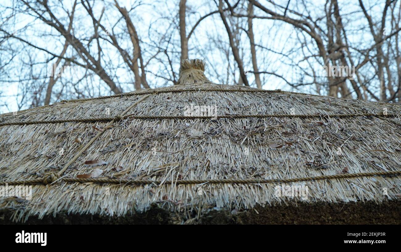 Roof of an Old Asian Style Straw Hut in Winter Stock Photo - Alamy