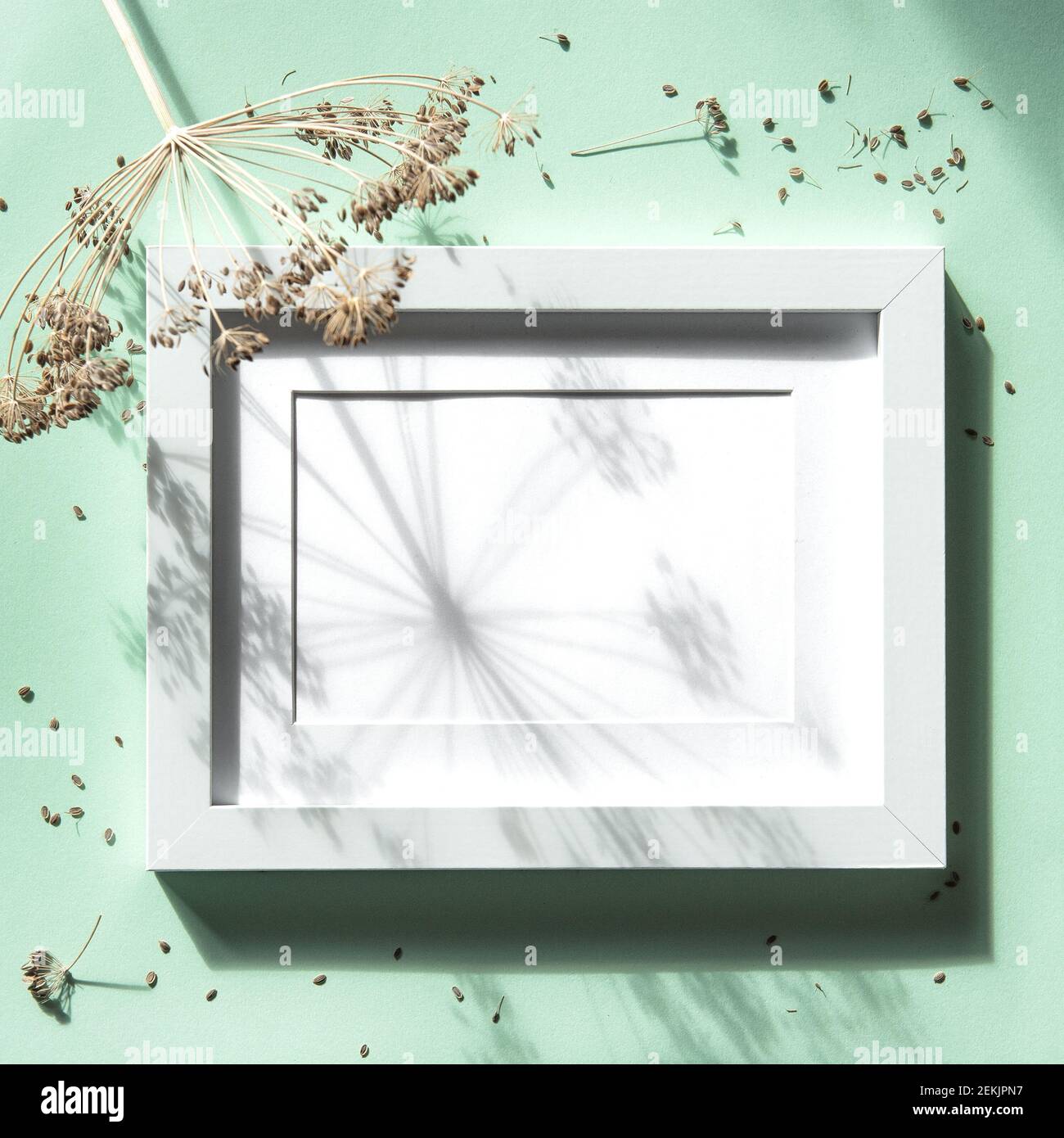 Flat lay shadows hi-res stock photography and images - Alamy