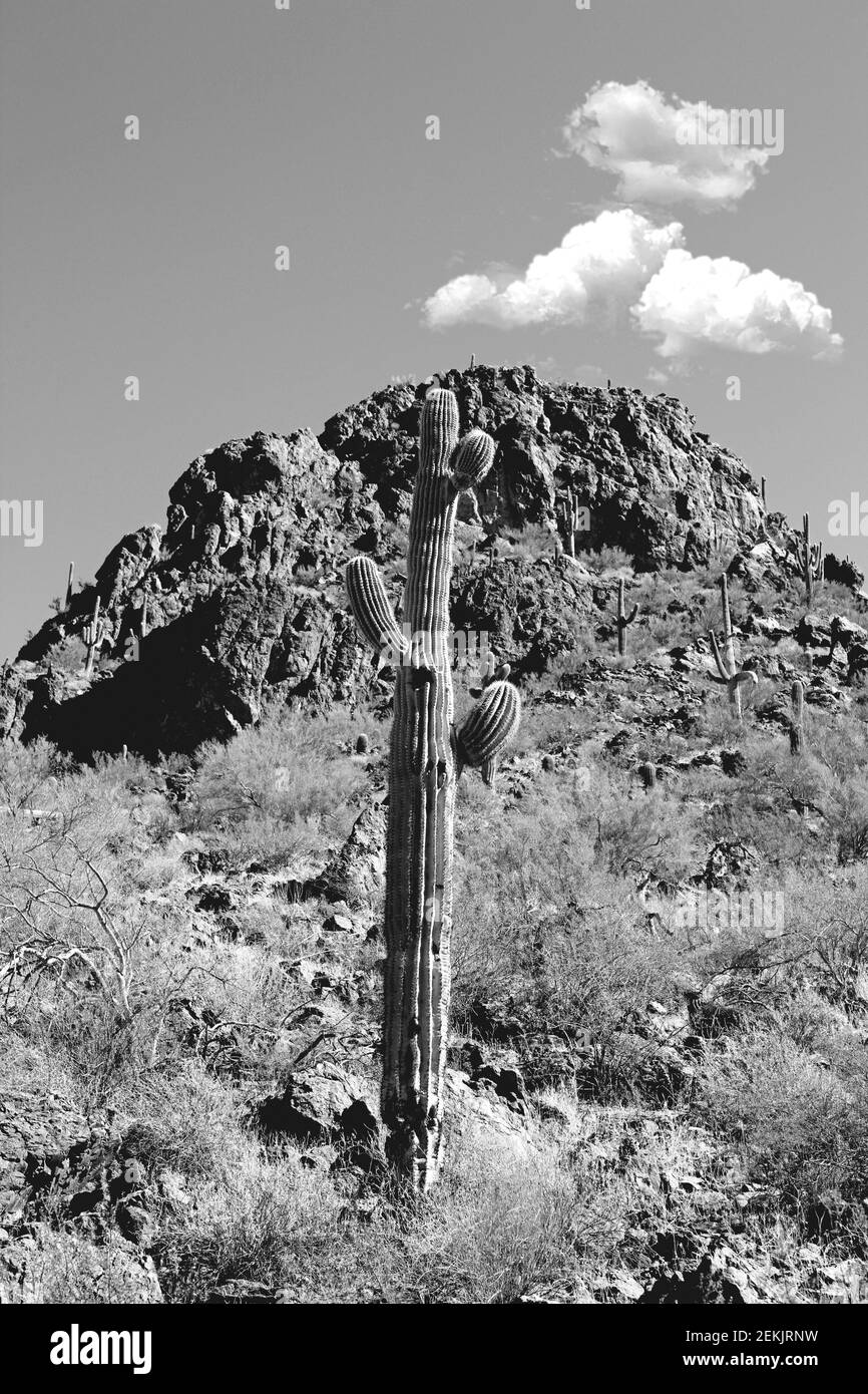 Picacho peak wilderness hi-res stock photography and images - Alamy
