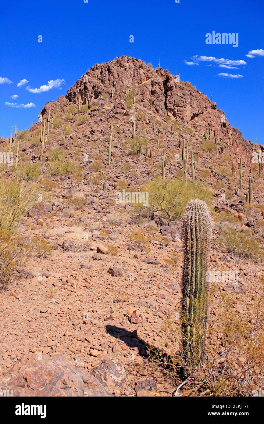 Picacho Peak State Park in the area north of Tucson, AZ Stock Photo - Alamy