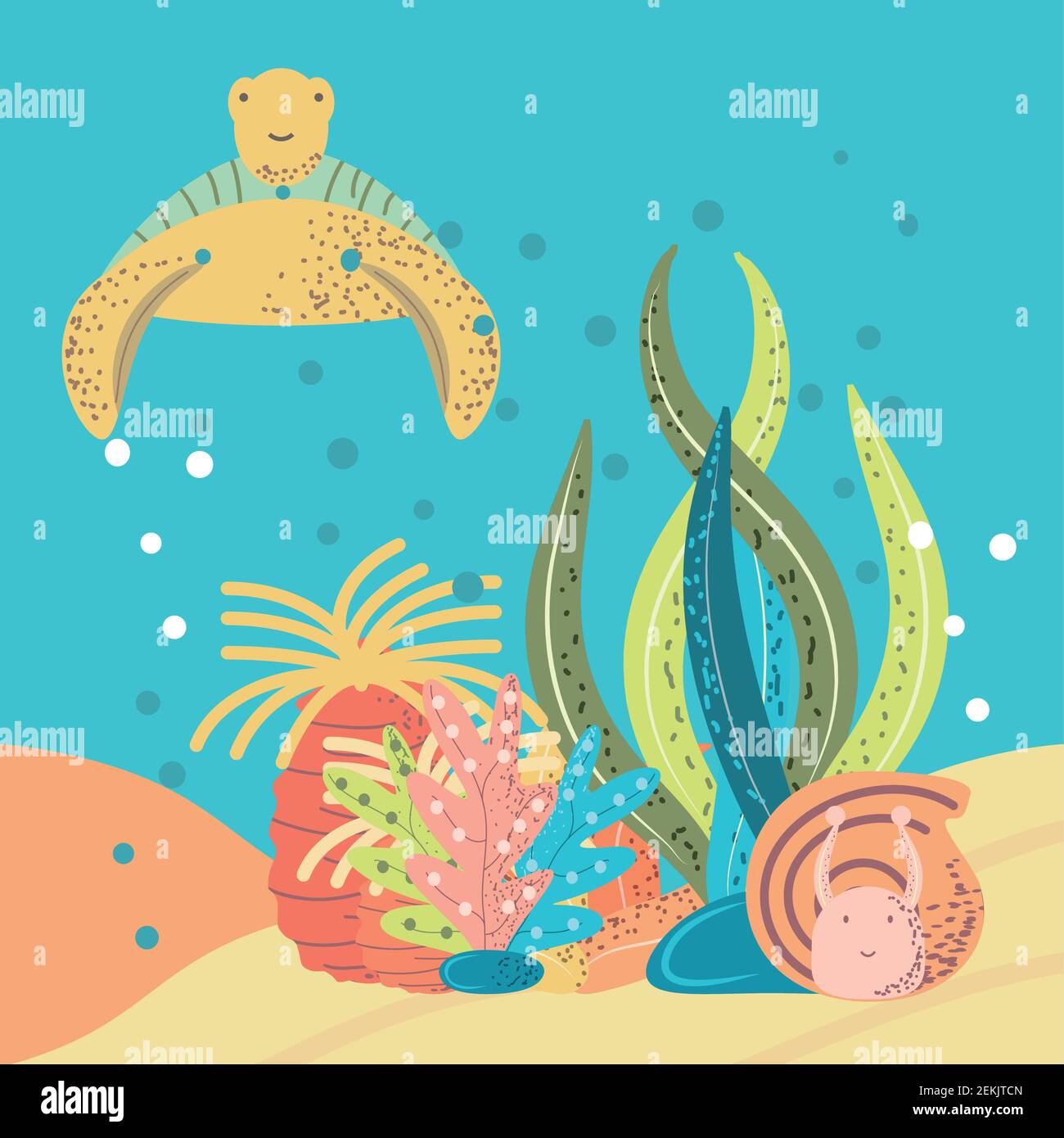 underwater world turtle snail anemone coral and reef vector cartoon ...