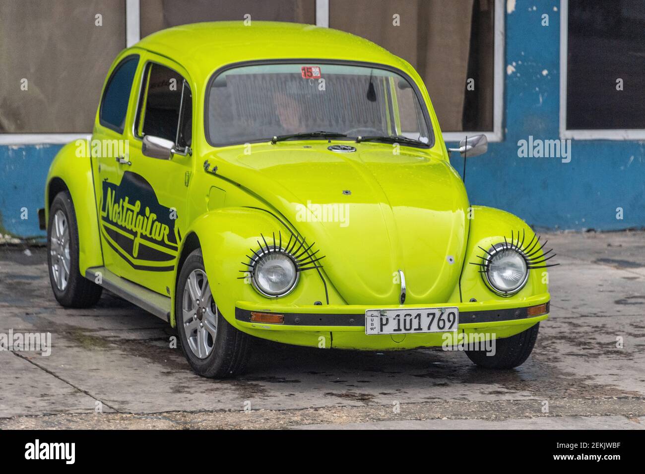 Wv beetle hi-res stock photography and images - Alamy