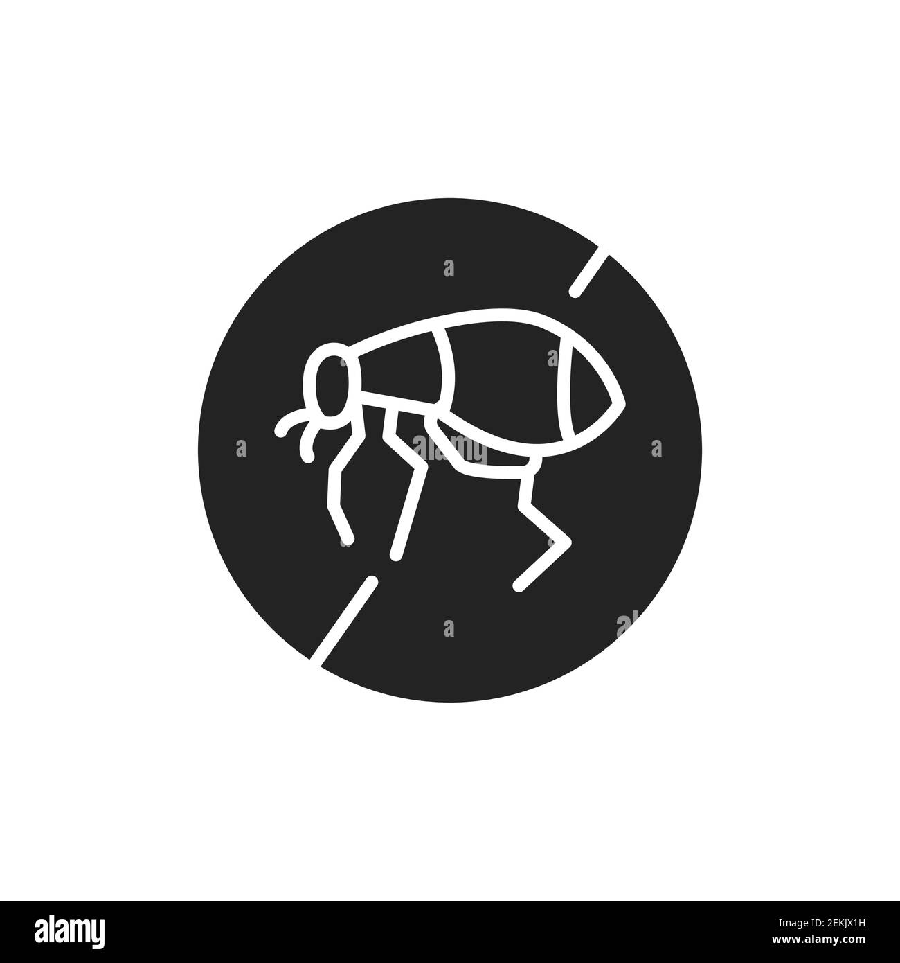 Flea destruction black glyph icon. Isolated vector element. Outline ...