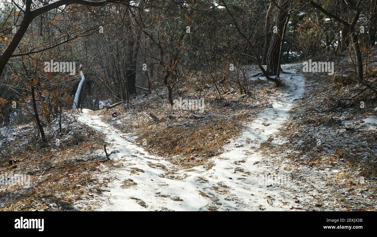 Hiking road crossroads hi-res stock photography and images - Alamy