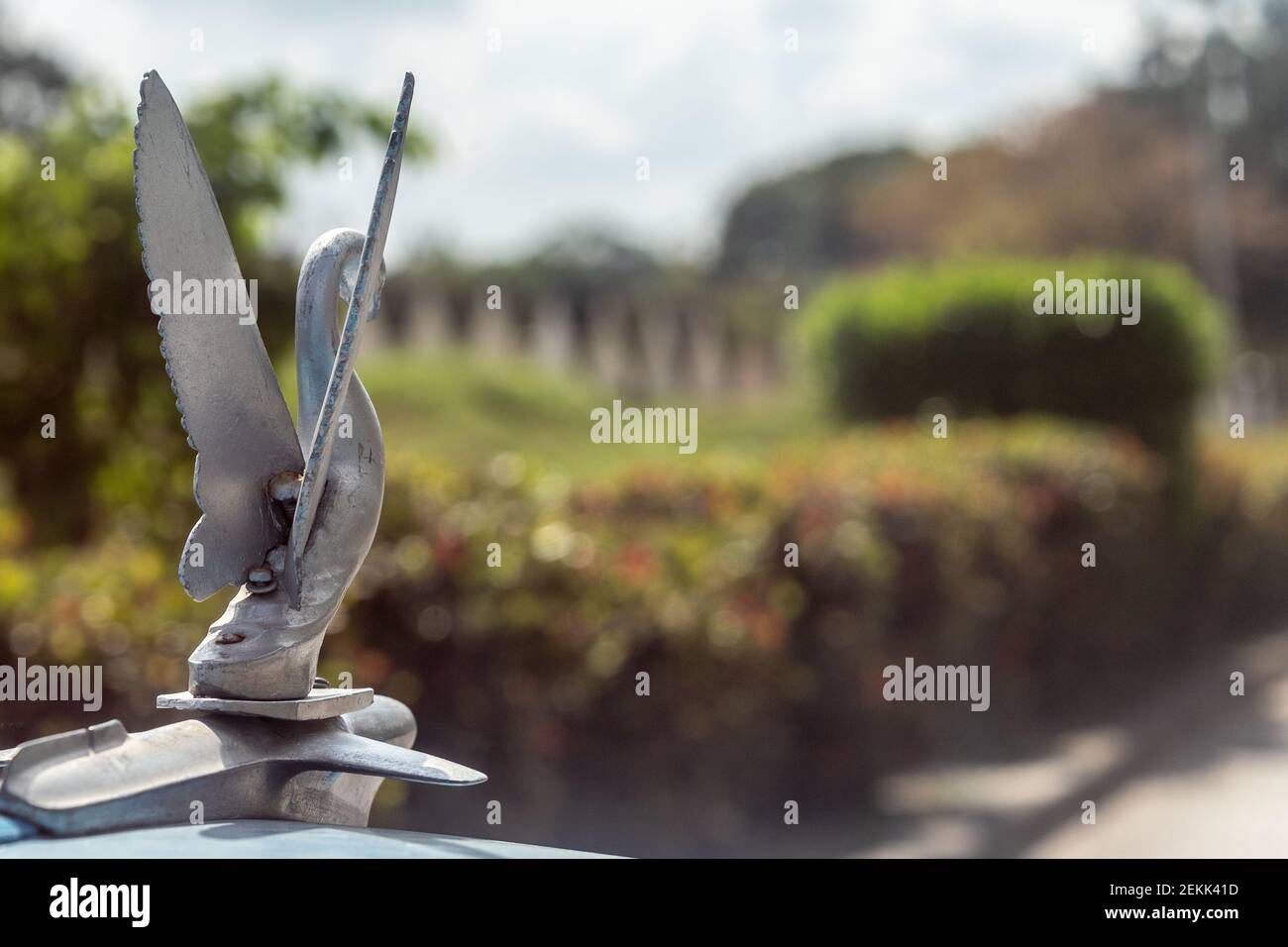 Aluminum dove in vintage Cuban car, Cuba Stock Photo - Alamy