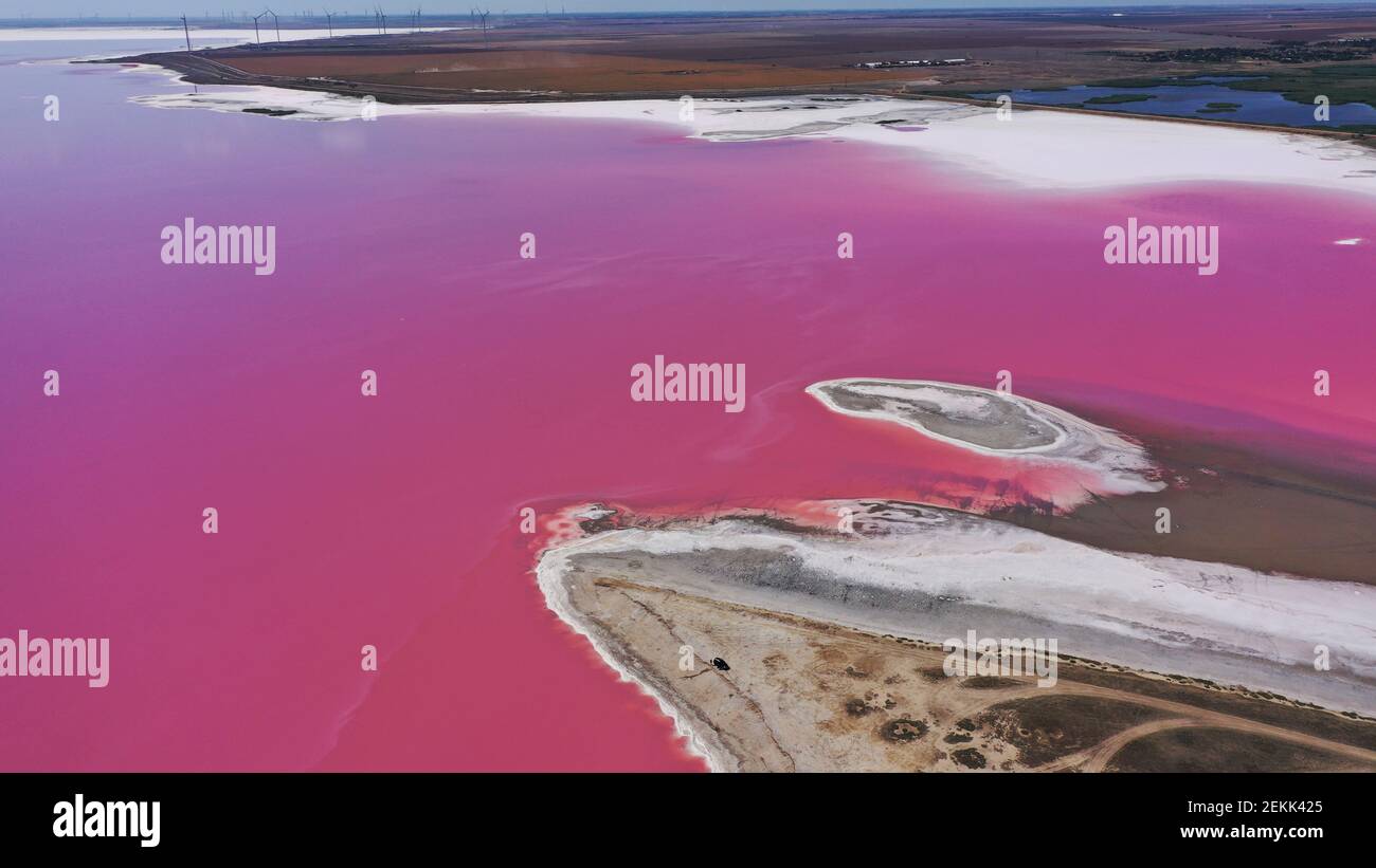 Aerial drone top down photo of a natural pink lake and coast Genichesk ...