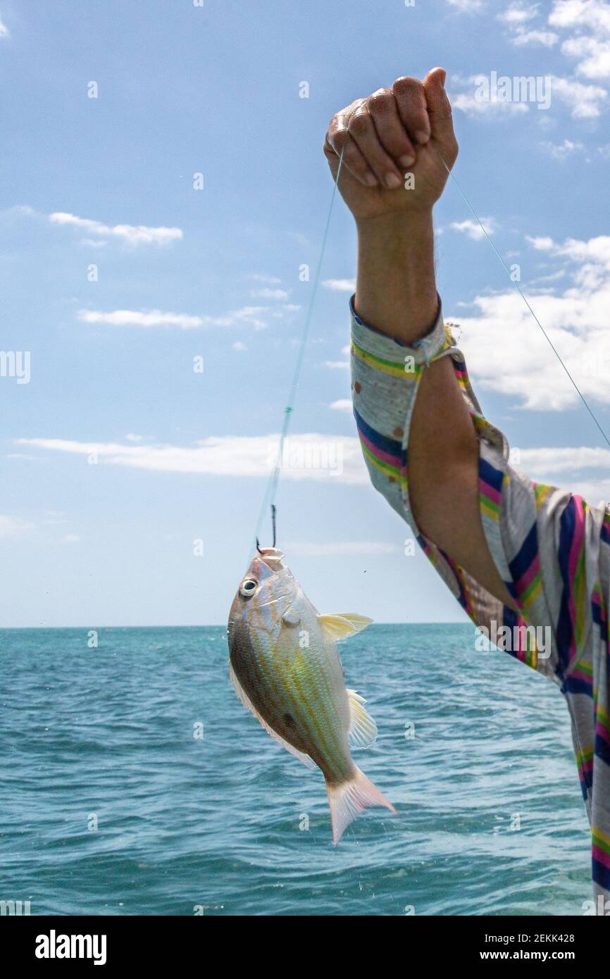 Fisherman showing a caught fish, Cuba Stock Photo - Alamy
