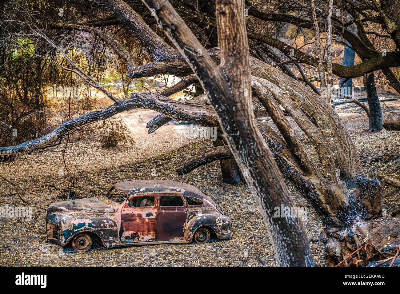 BONNY DOON, CALIFORNIA - SEPTEMBER 15: A general view of a burned out ...