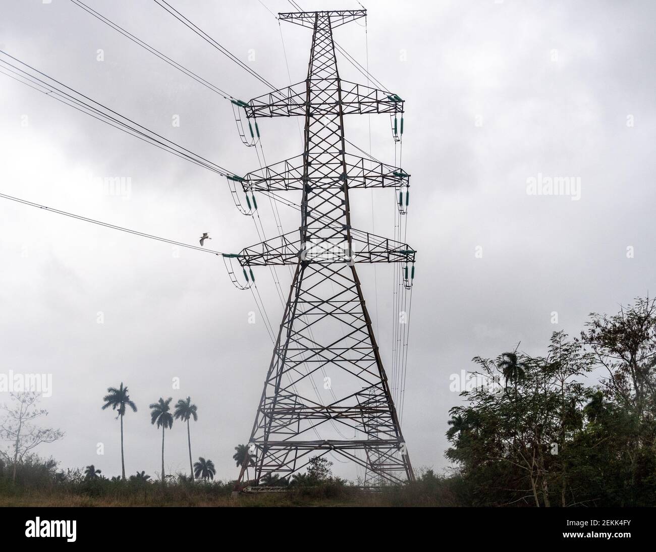 Electricity transmission in Cuba Stock Photo - Alamy