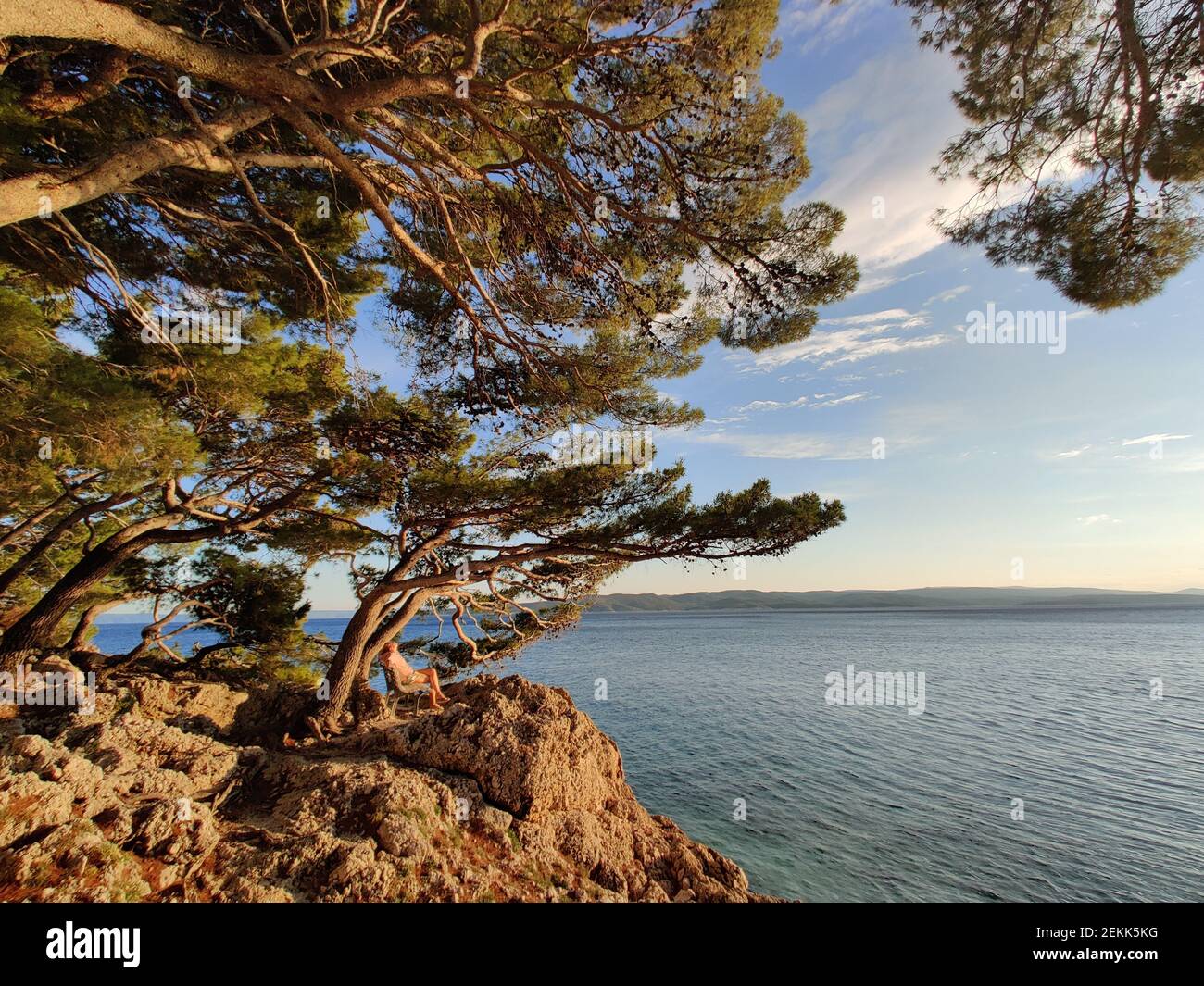 Woman relaxing under tree hi-res stock photography and images - Alamy