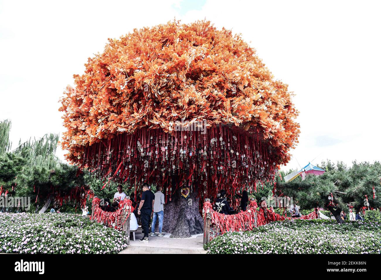 Liaoningï¼ŒCHINA-Residents hang their wishes on a blessing tree in ...