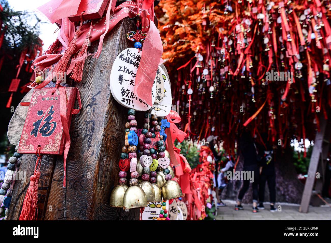 Liaoningï¼ŒCHINA-Residents hang their wishes on a blessing tree in ...