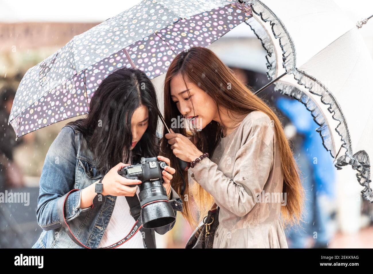 Beautiful female photographer in hi-res stock photography and images ...