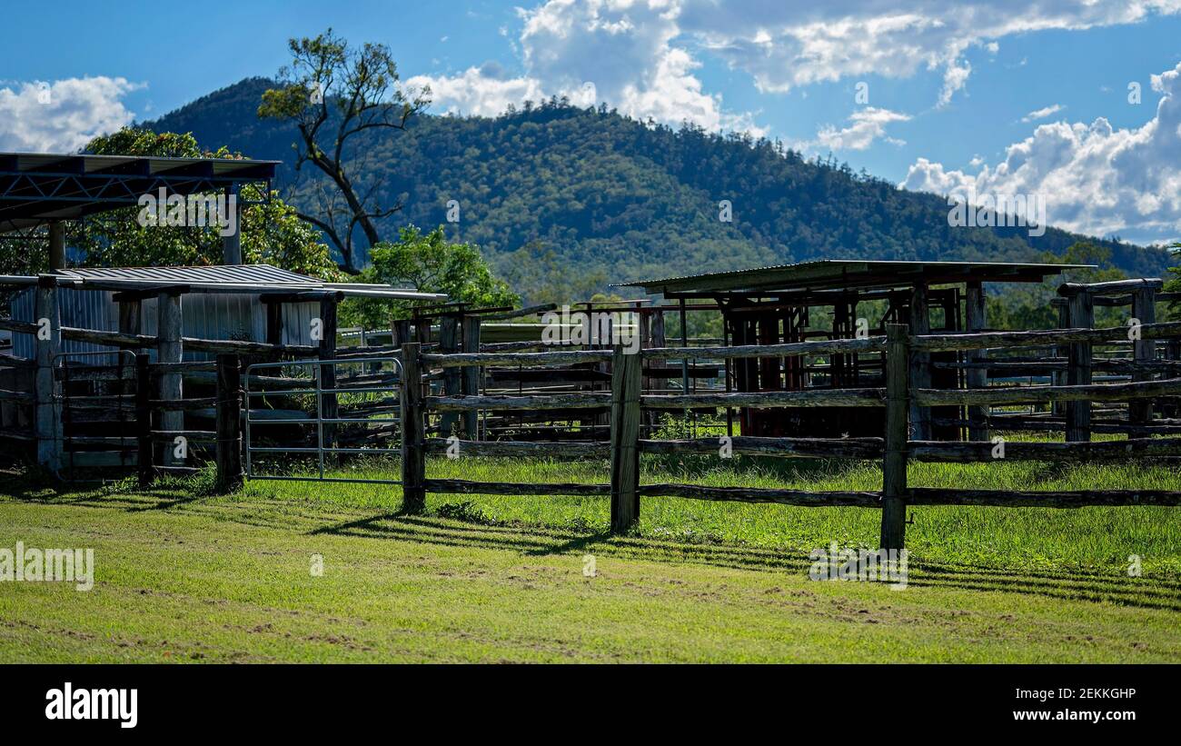 Empty cattle yards with timber fencing on a rural property Stock Photo ...