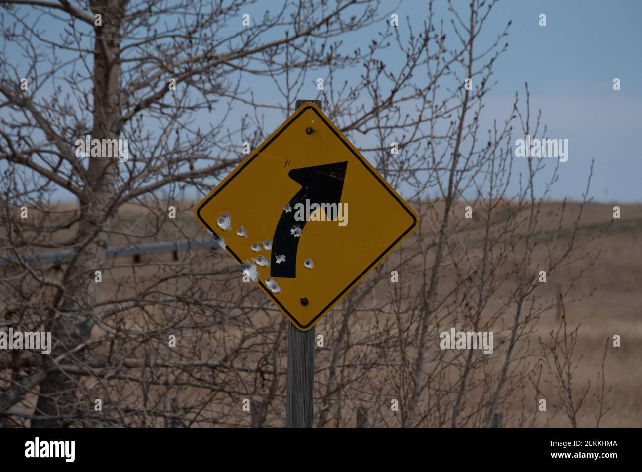 Road sign with bullet holes Stock Photo - Alamy