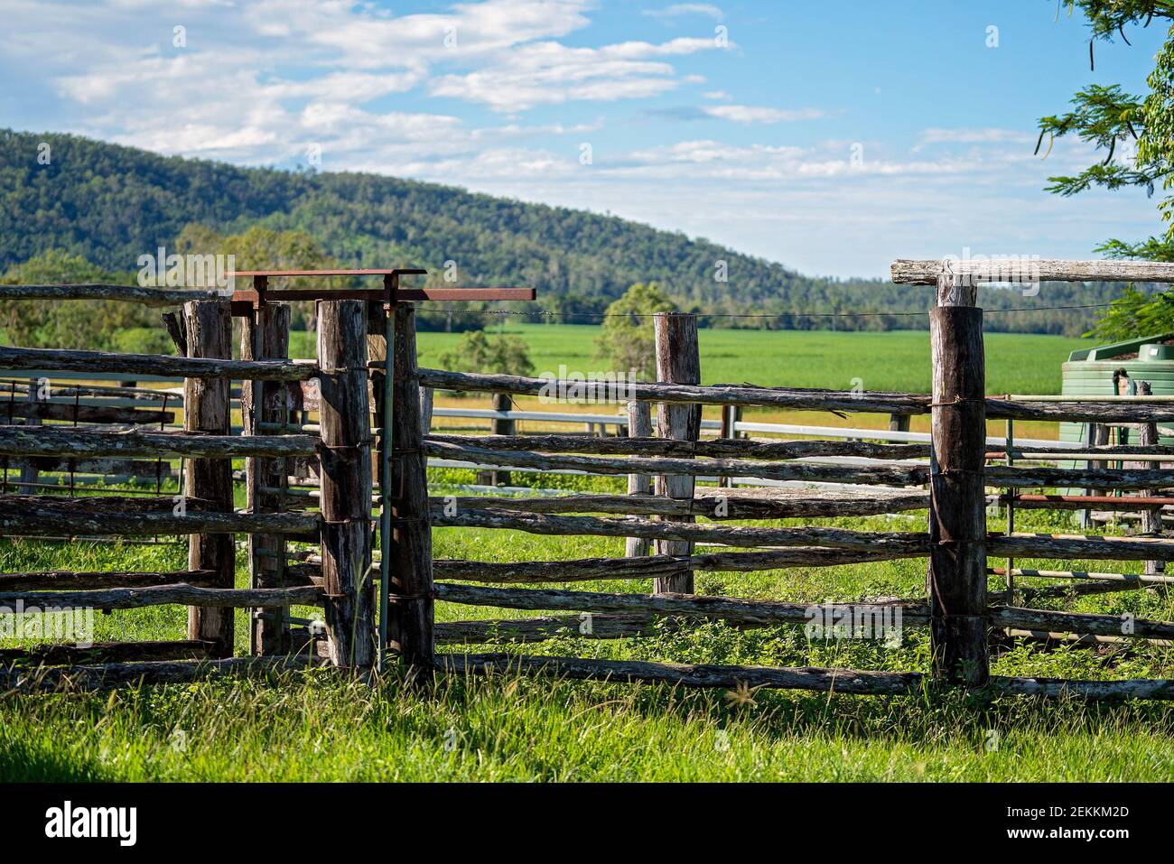 Cattle chute design hi-res stock photography and images - Alamy