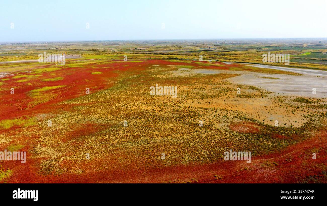 KUQA, CHINA - SEPTEMBER 23, 2020 - The winding Tarim River, the ...