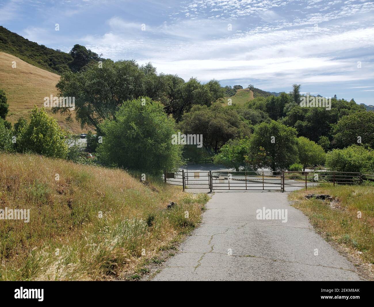 Ridge trail at Las Trampas Regional Wilderness, San Ramon, California ...