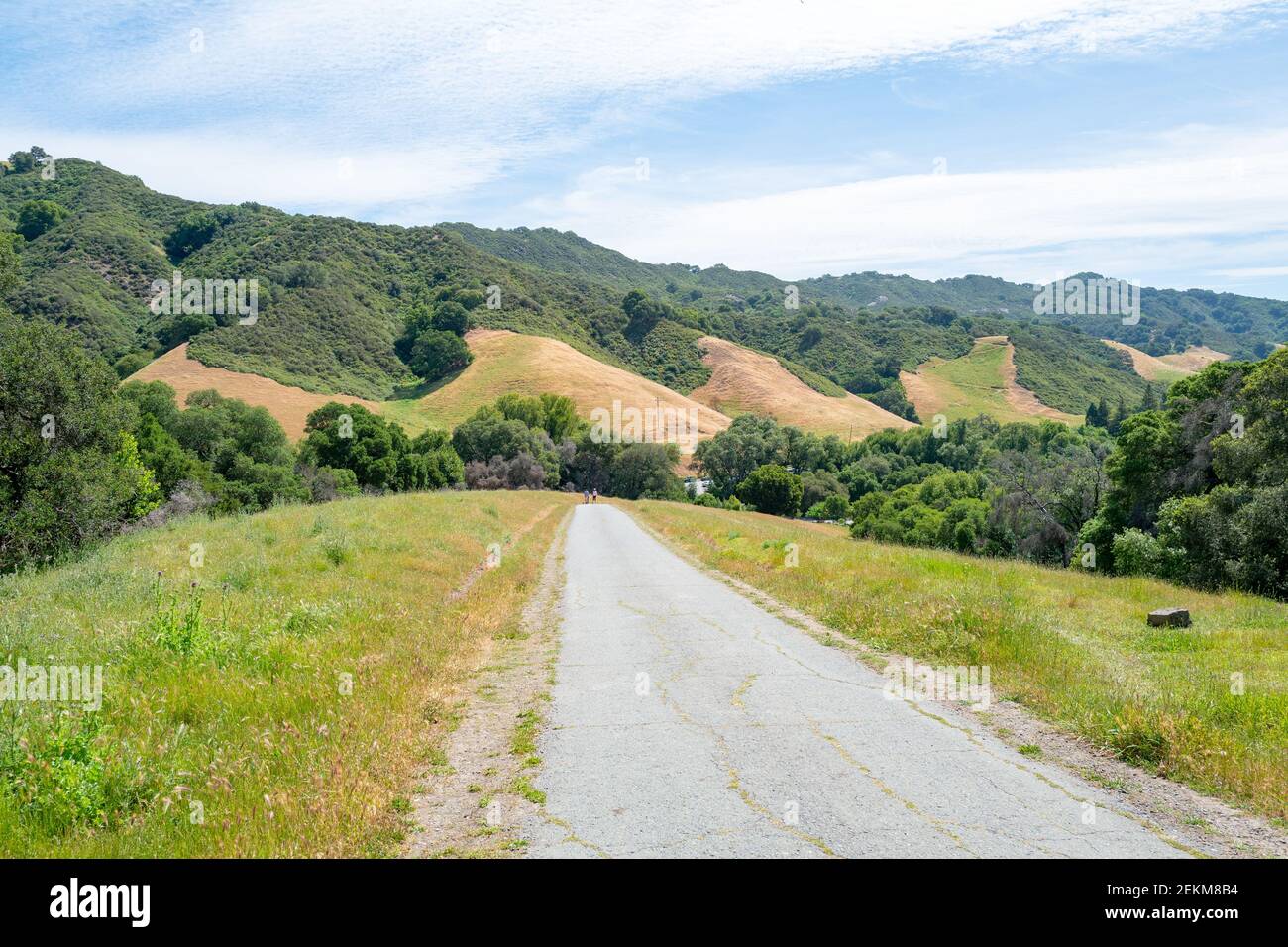 Trails are visible at Las Trampas Regional Wilderness, a public park in ...