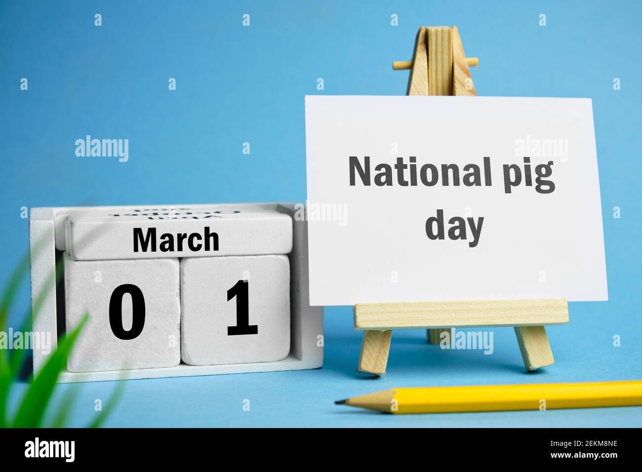 National pig day of Spring month calendar march Stock Photo - Alamy