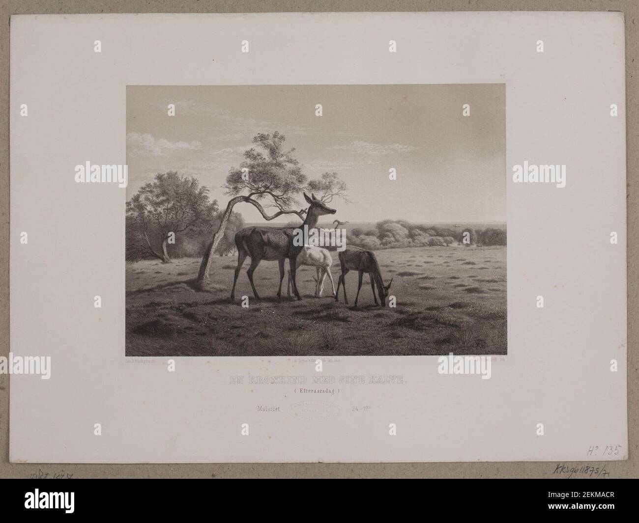 Adolph Kittendorff (1820-1902); John Didrik Frisch (1835-1867), a ...