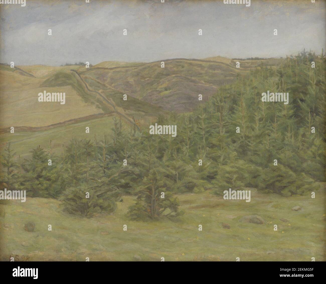Karl Schou (1870-1938), Swanning hills, 1898 Stock Photo - Alamy