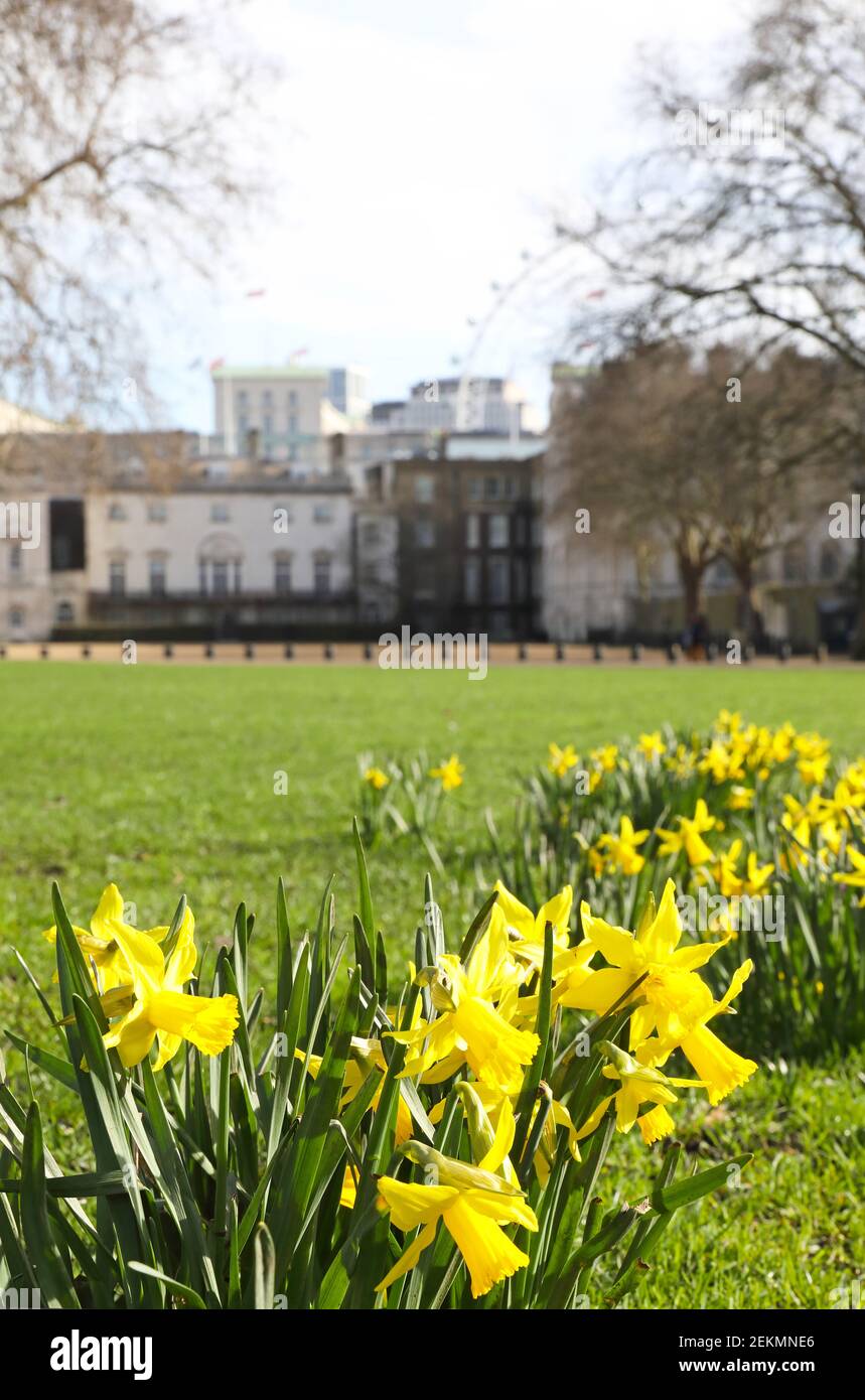 Hyde park london spring flowers hi-res stock photography and images - Alamy