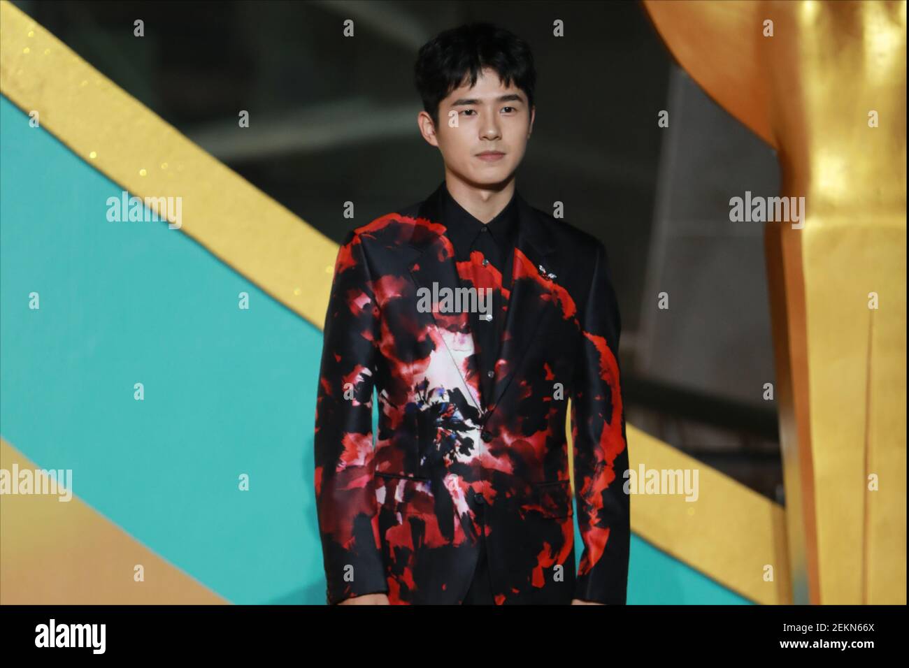 Chinese actor Liu Haoran or Turbo Liu attends the 29th Golden Rooster ...