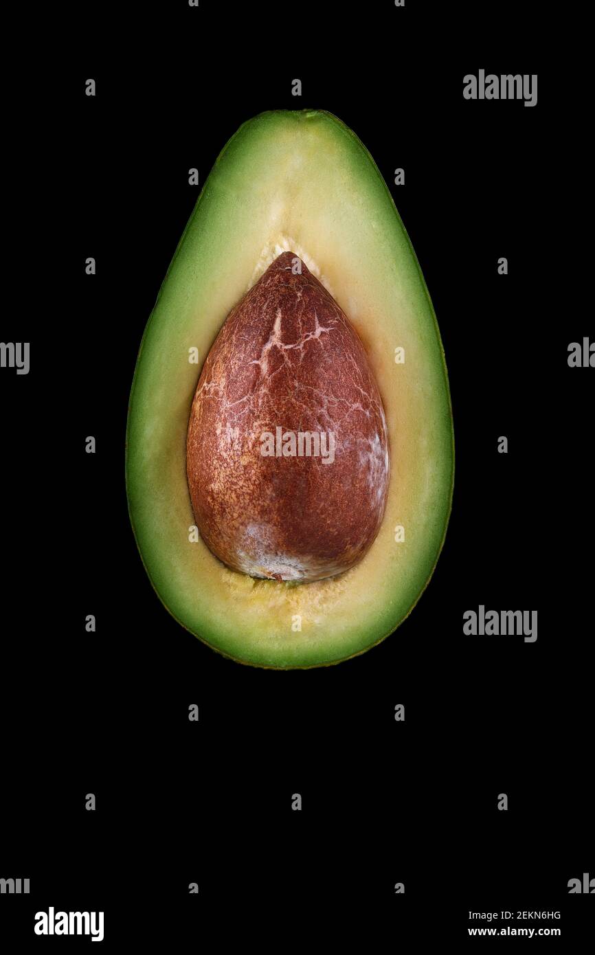 Macro shot of fresh avocados cut in a half on the black background ...