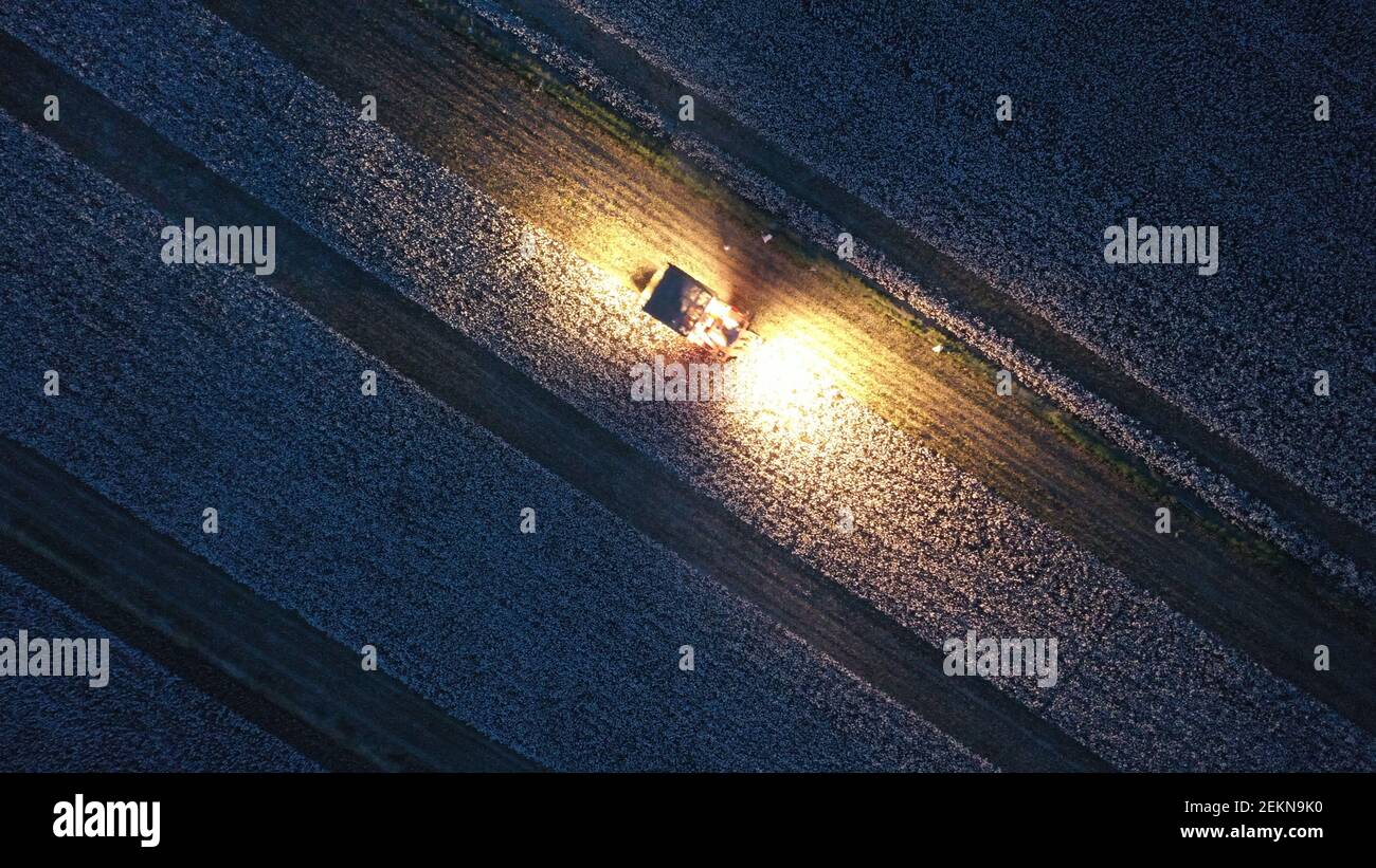 A night aerial view of a cotton picker working in the cotton field ...