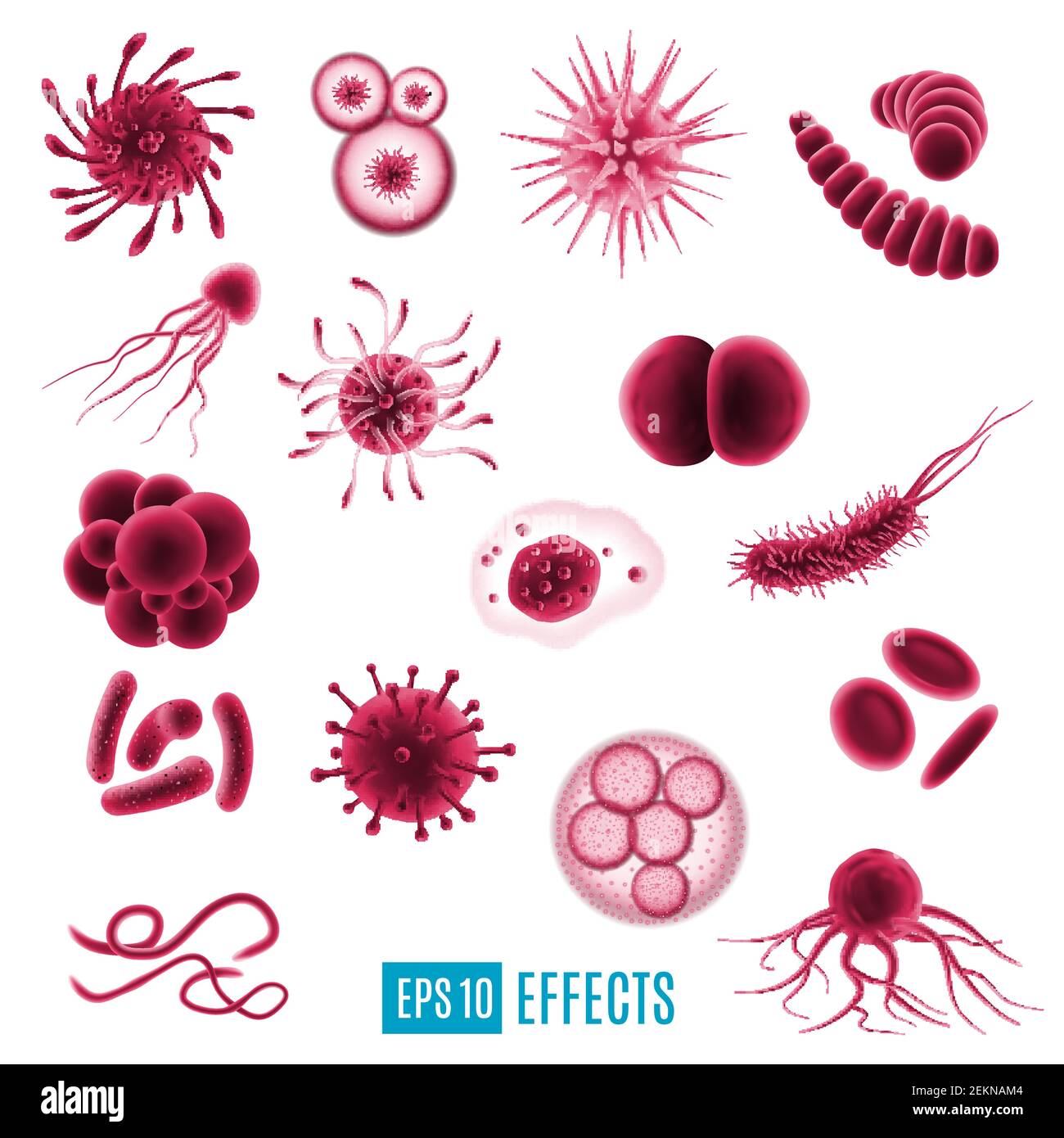Viruses, germs and bacteria icons, harmful cells, virology and medicine ...
