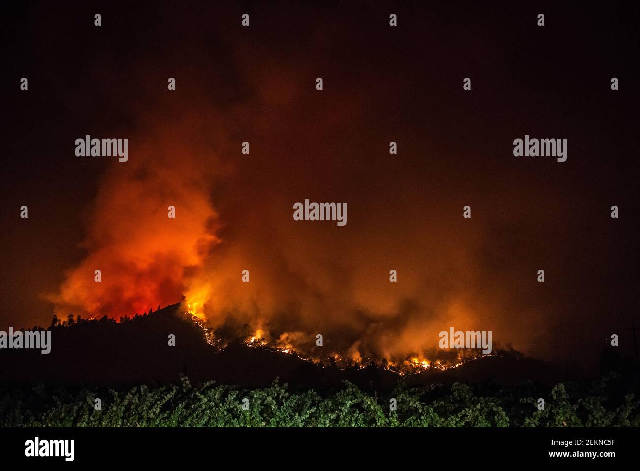CALISTOGA, CA - SEPTEMBER 28: Wildfire flames from the Glass Fire ...