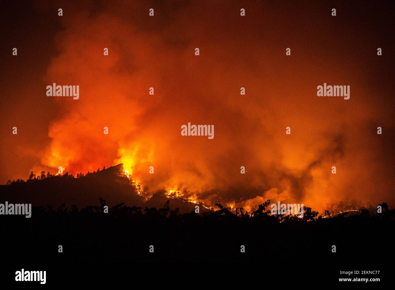 CALISTOGA, CA - SEPTEMBER 28: Wildfire flames from the Glass Fire ...
