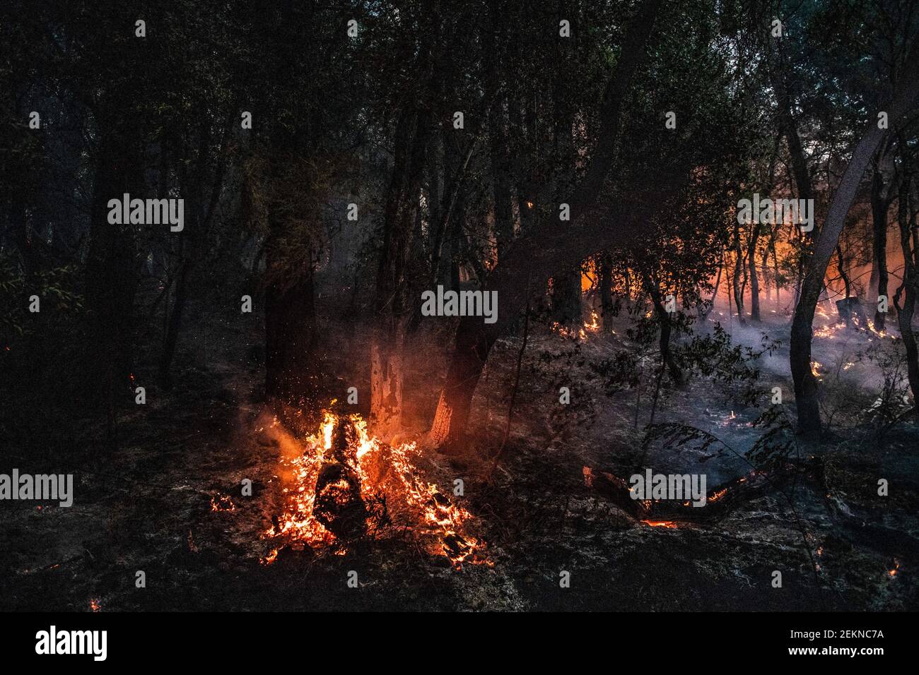 SANTA ROSA, CA - SEPTEMBER 28: Wildfire flames from the Glass Fire ...
