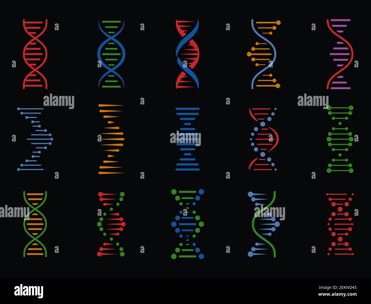 Human Genetic Variation