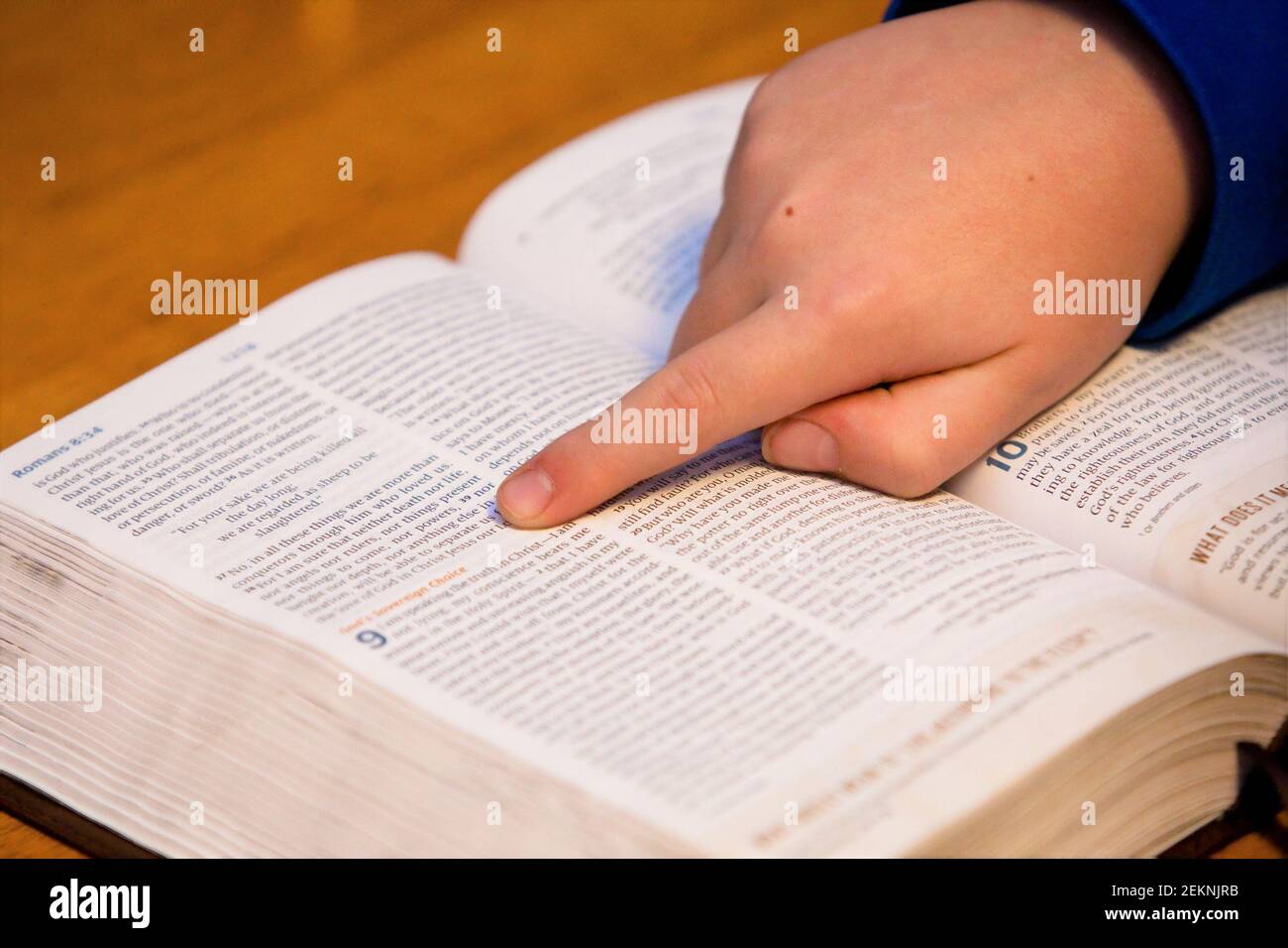 Hand study with bible hi-res stock photography and images - Alamy