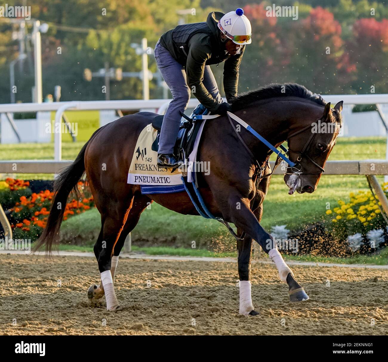 October 1, 2020, Baltimore, MD, USA: October 1, 2020: Pneumatic ...