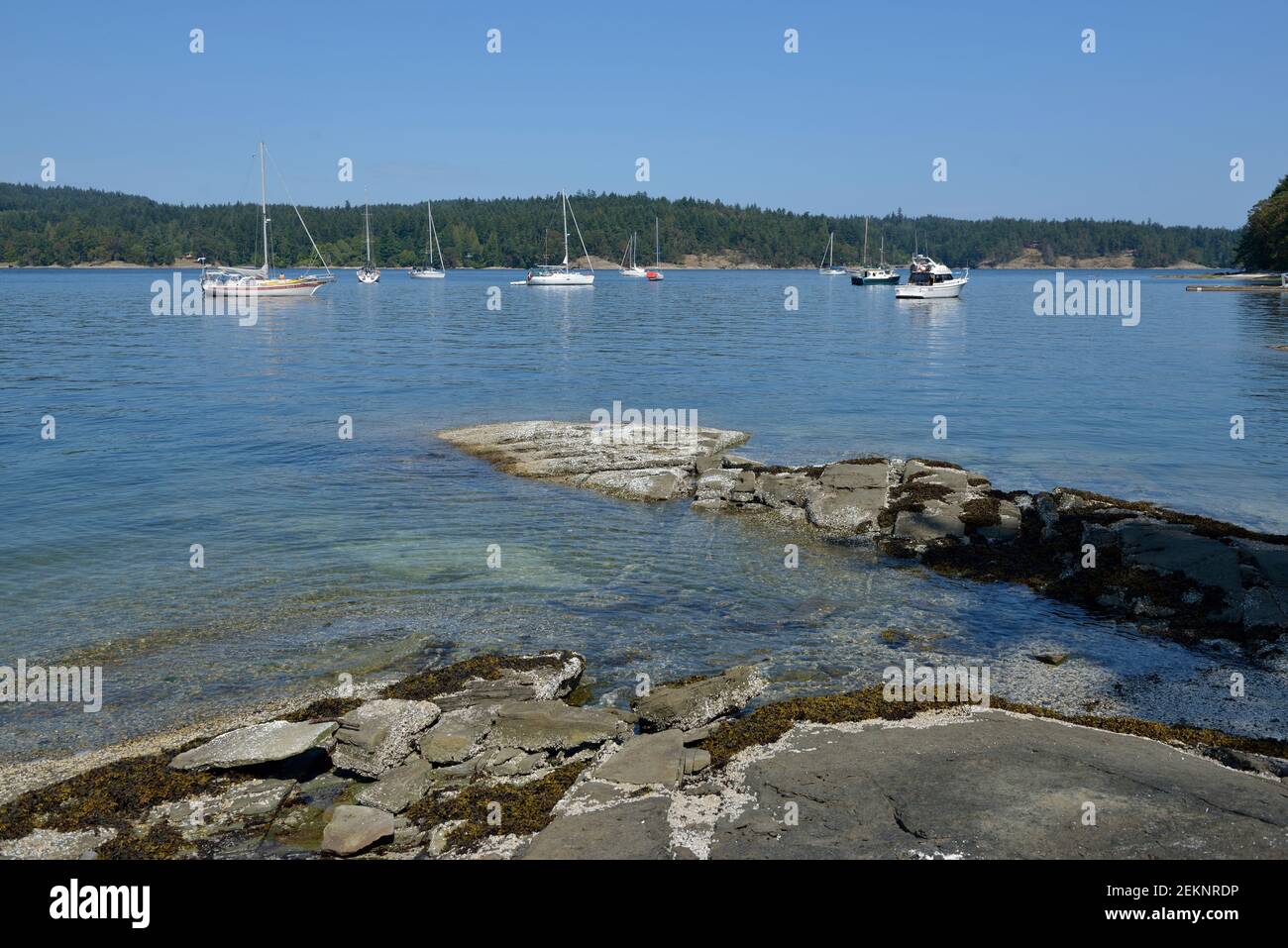 Russell island hi-res stock photography and images - Alamy