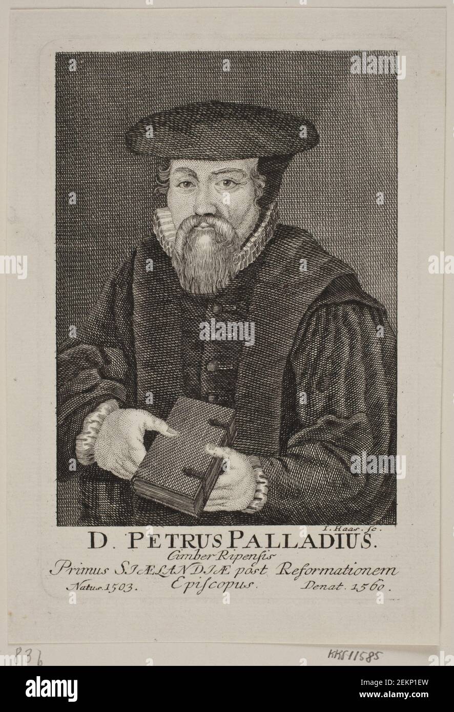 Peder palladius hi-res stock photography and images - Alamy
