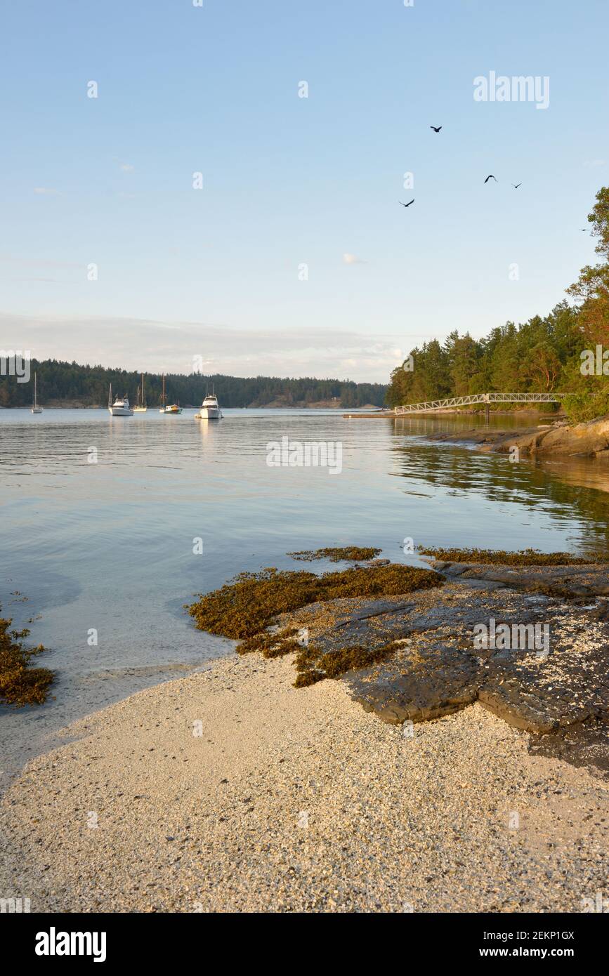 Shell beach and anchorage, Russell Island, British Columbia, Canada ...