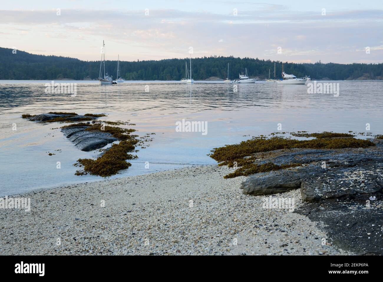 Shell beach in front of the Russell Island anchorage, British Columbia ...