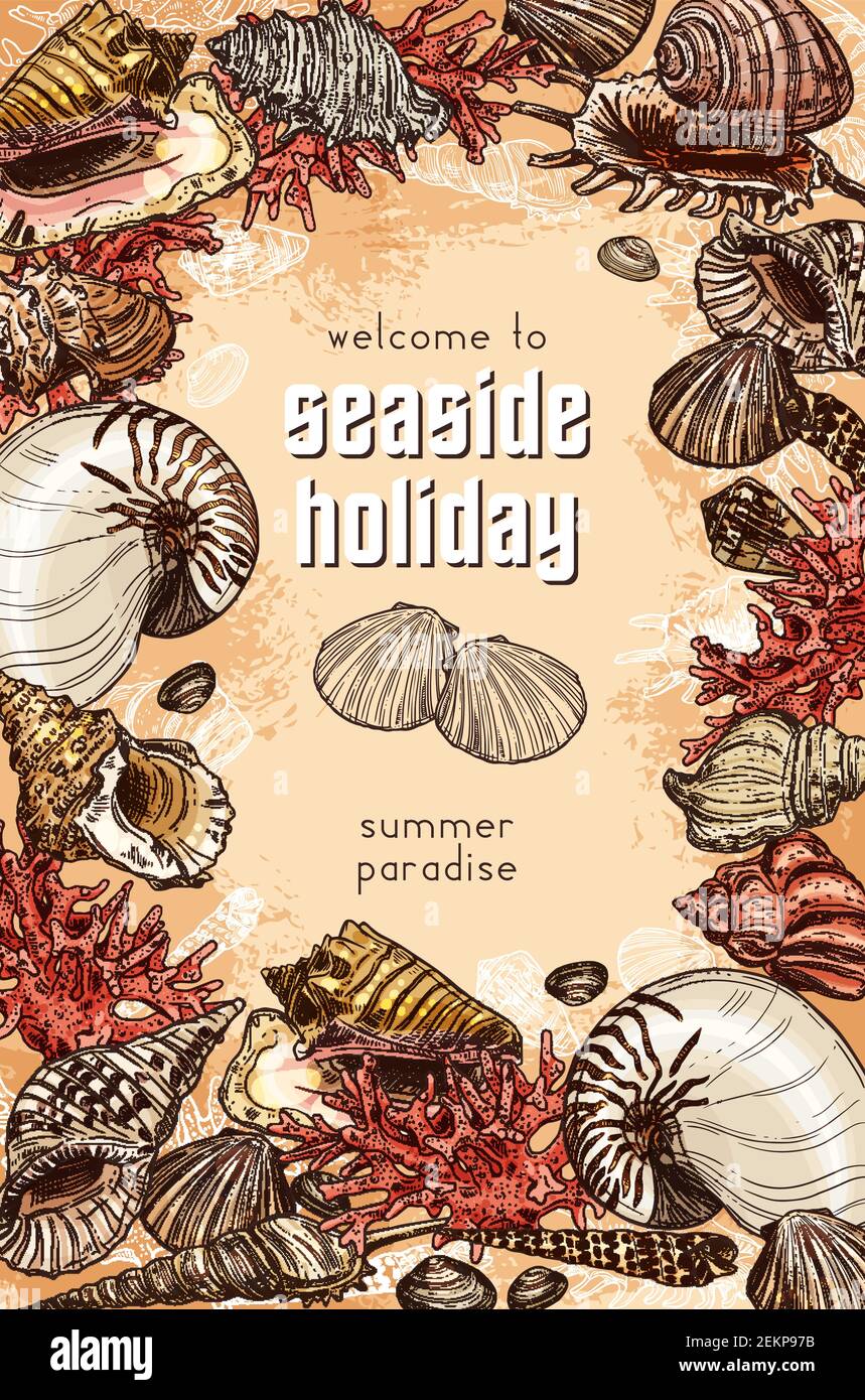 Sea shells and corals on beach sand, seaside holiday resort or spa ...